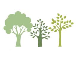 Tree offset planting | Chatswood West Ward History